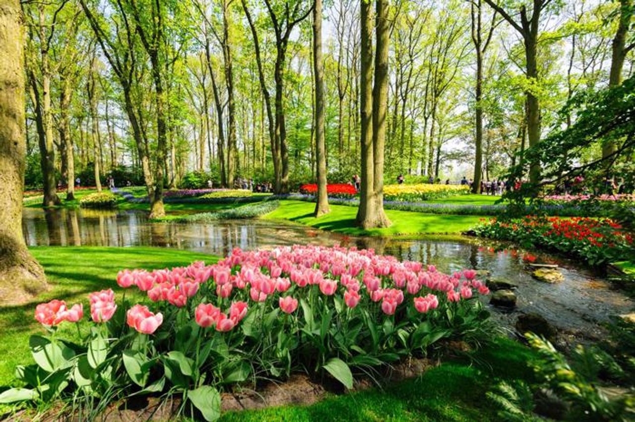 Self-guided tour of Lisse | SmartGuide