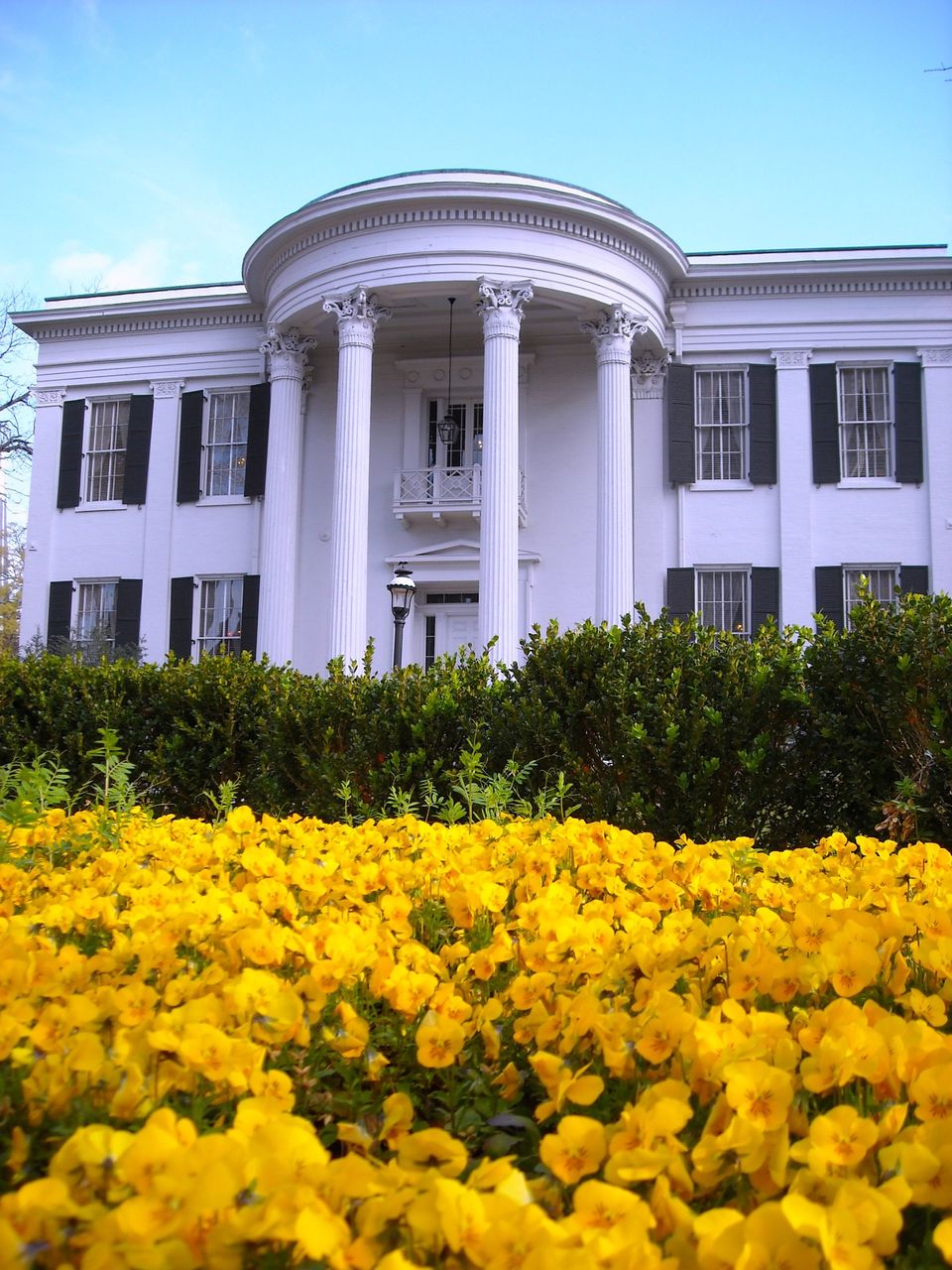 Self-guided tour of Jackson | SmartGuide