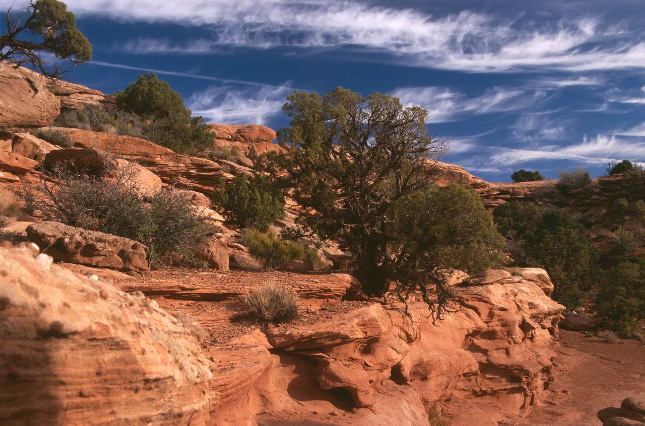 Self-guided tour of Utah | SmartGuide