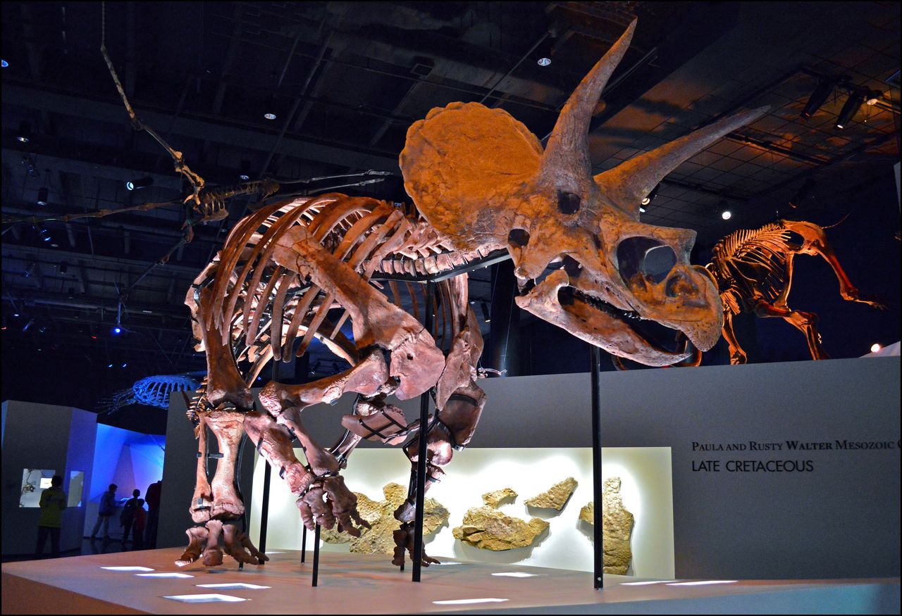 Self-guided tour of Jackson | SmartGuide