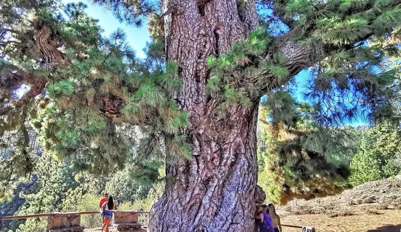 Self-guided tour of Vilaflor-de-Chasna | SmartGuide