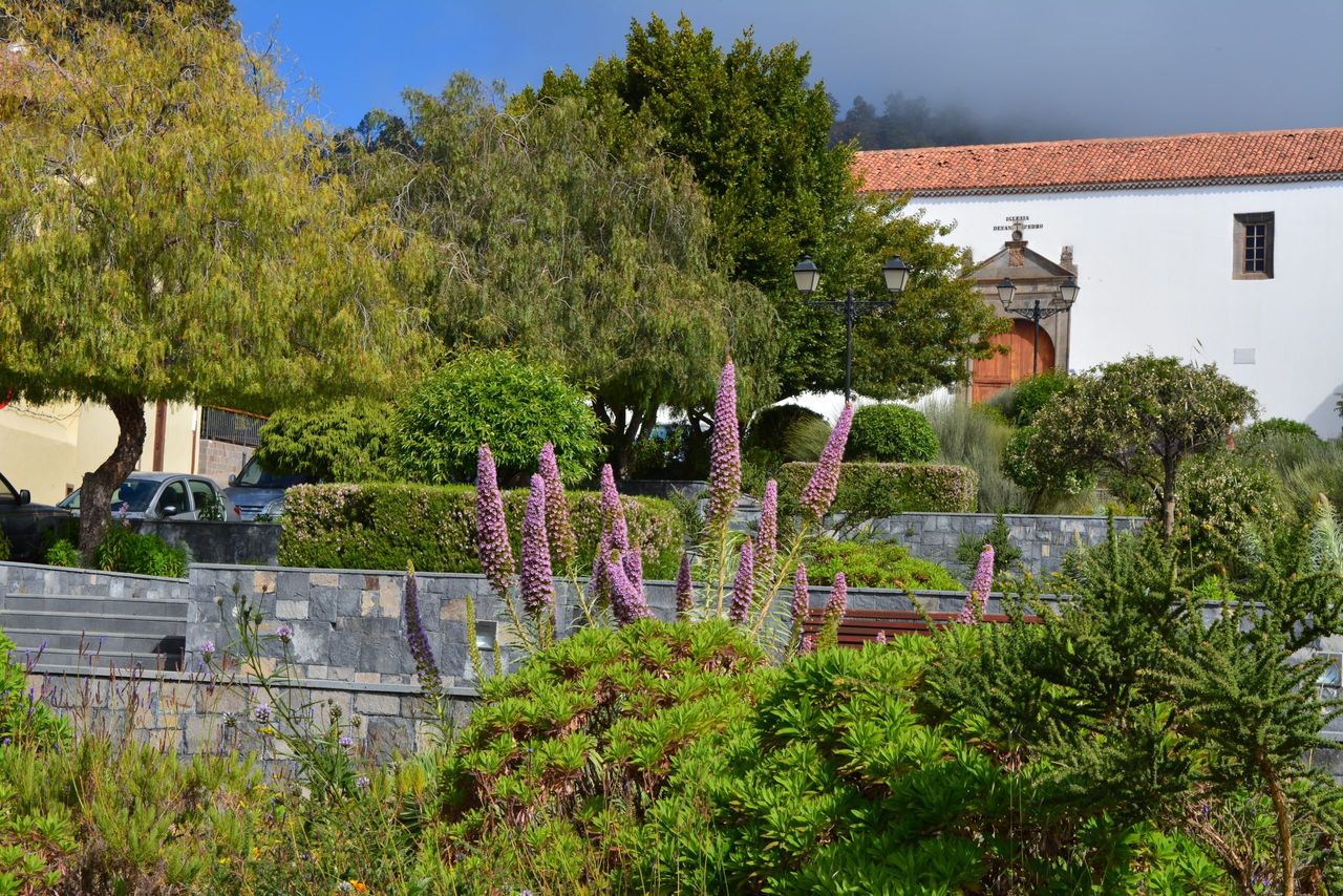 Self-guided tour of Vilaflor-de-Chasna | SmartGuide